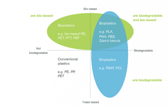 Is Biodegradable Plastic a Myth?